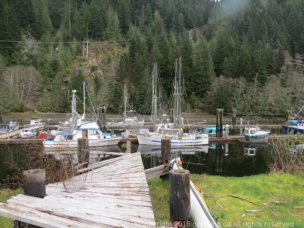 Zeballos Bc
