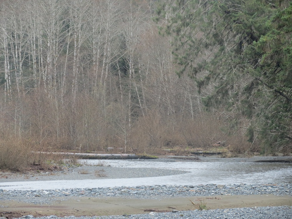 eve river (10) | Gohiking.ca