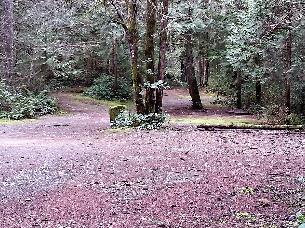 comox lake campground (3) | Gohiking.ca