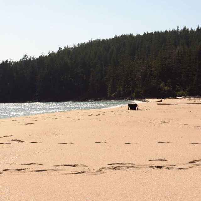 Grant Bay, B.C. | Gohiking.ca