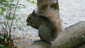 Gohiking, Vancouver Island, British Columbia