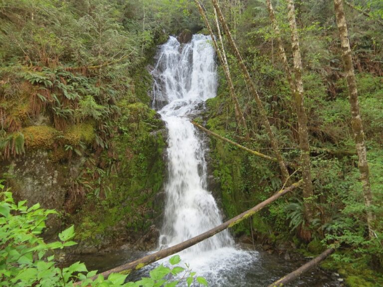Alice Falls, Waterfalls, Vancouver Island, British Columbia